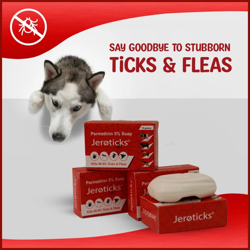 Cattle Anti Tick Soap - Cattlechaska - Premium quality cattle products